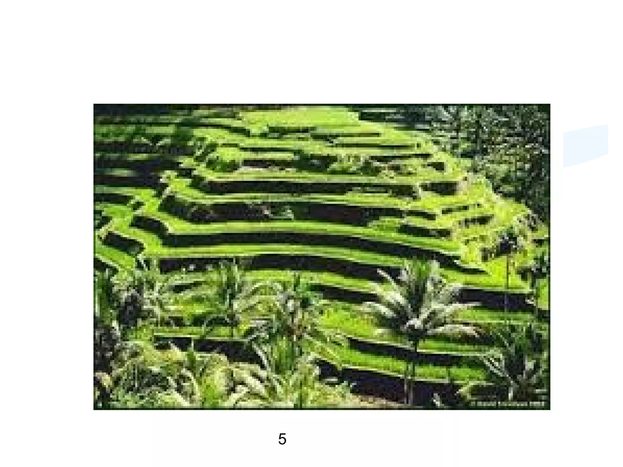 Ppt.episode 6 fs3 | PPT