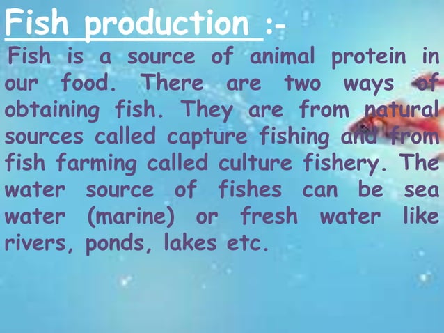 fish production | PPTX | Fish and Aquariums | Pets