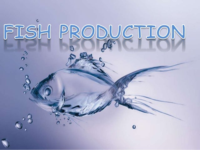 Fish Production And Management Techniques Farm-made Aquafeeds - all ...