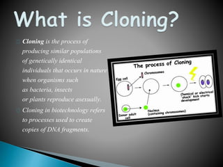 Asexual Reproduction | PPT