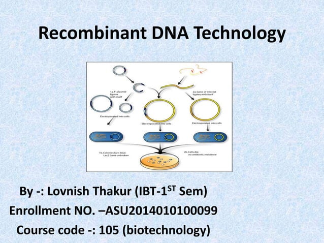 Recombinant DNA Technology | PPT