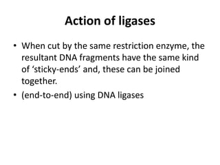 Recombinant DNA Technology | PPT