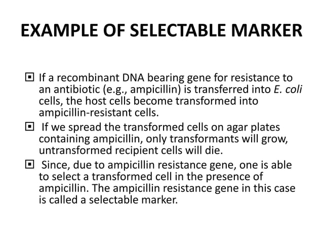 Recombinant DNA Technology | PPT