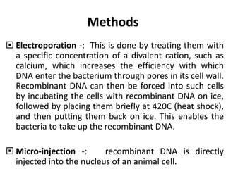 Recombinant DNA Technology | PPT