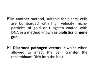 Recombinant DNA Technology | PPT