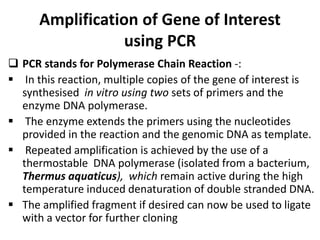 Recombinant DNA Technology | PPT