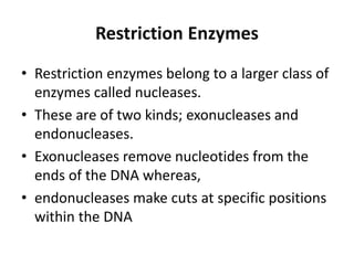 Recombinant DNA Technology | PPT