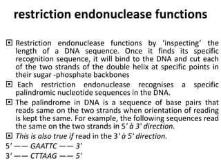 Recombinant DNA Technology | PPT