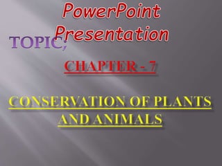 Conservation of Plants And Animals | PPTX