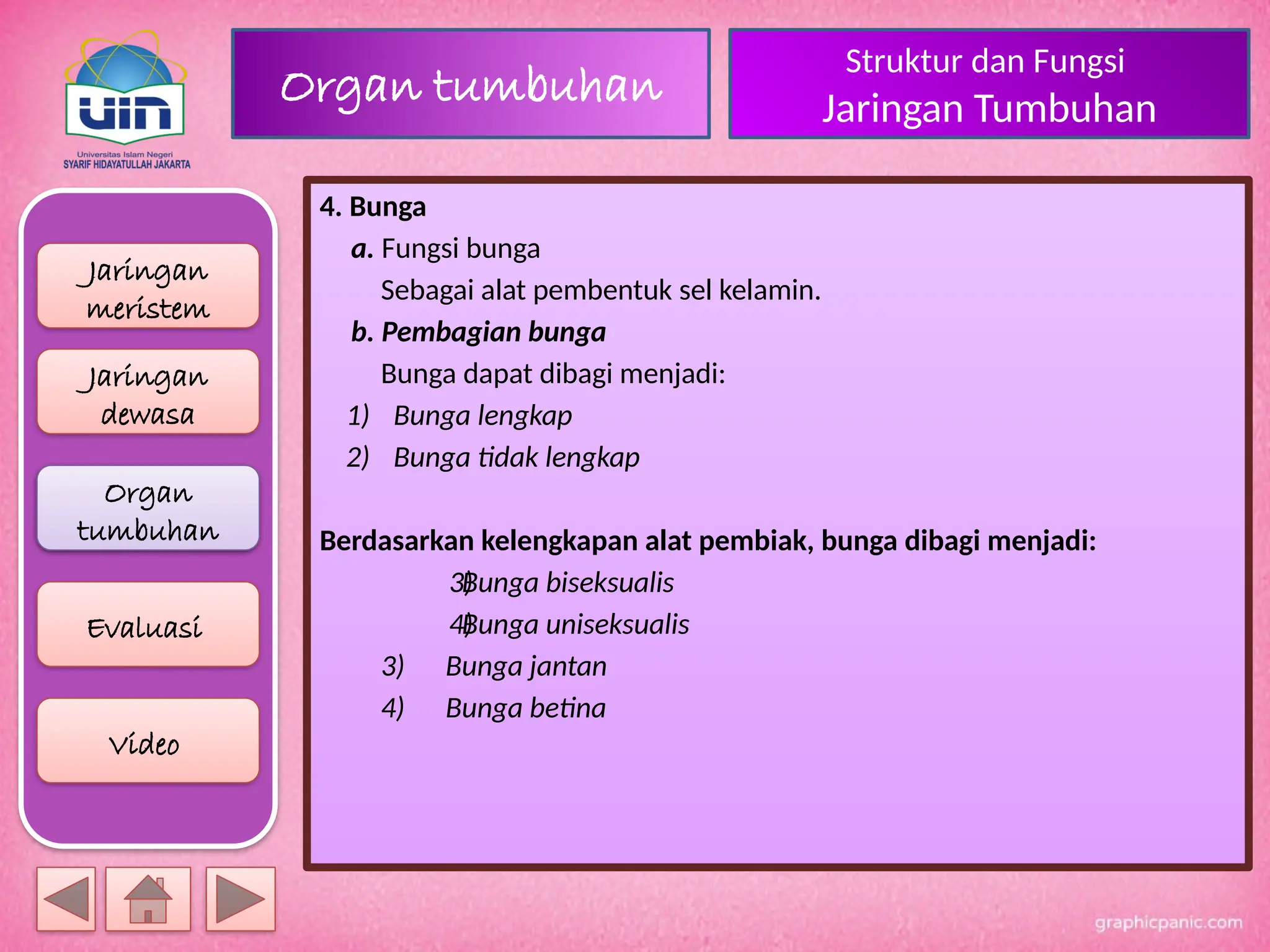 Struktur dan fungsi Jaringan pada organ tumbuhan .pptx