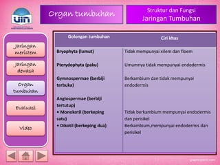 power point struktur dan fungsi jaringan tumbuhan (Nining Khoerunnisa) | PPTX
