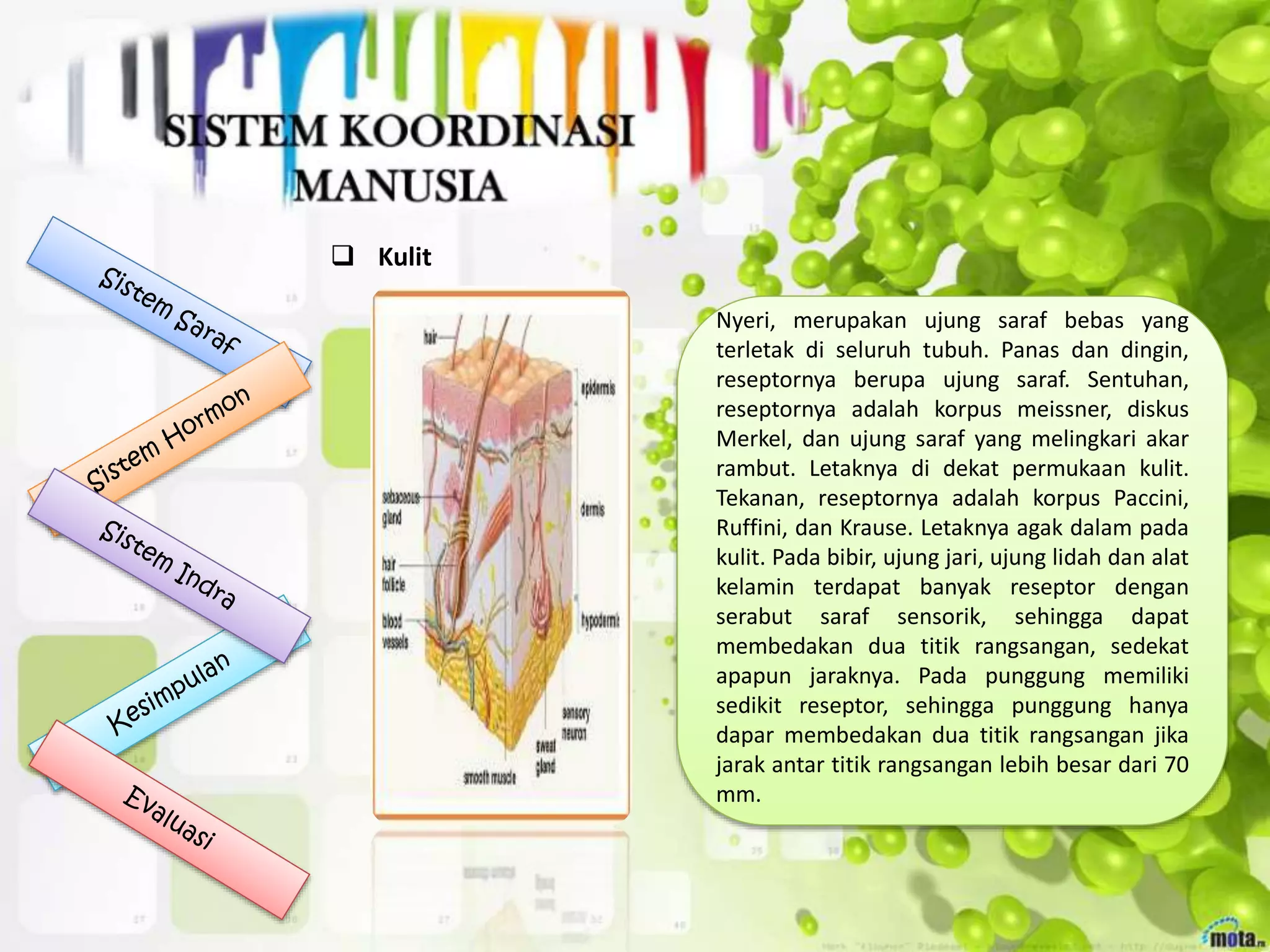 PPT Sistem Koordinasi | PPTX