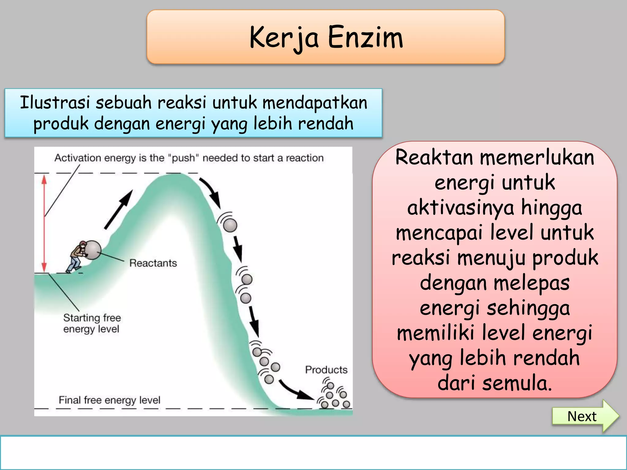 Kerja Enzim | PPTX