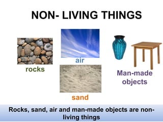 LIVING THINGS AND NON LIVING THINGS | PPT