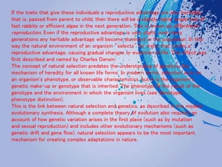 Natural Selection | PPTX