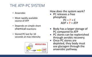 Introduction to Energy Systems | PPTX