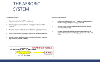 Introduction to Energy Systems | PPTX