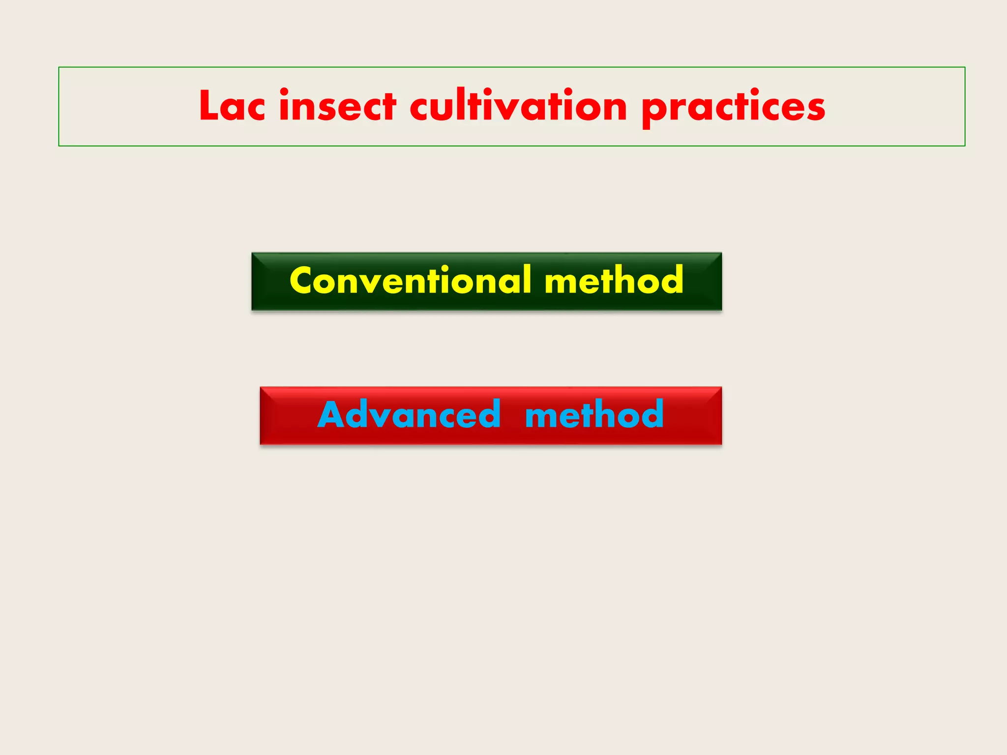 Lac cultivation and Commercialization | PPTX