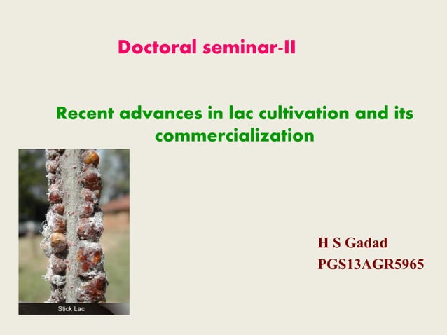 Lac cultivation and Commercialization | PPTX | Agriculture | Industries
