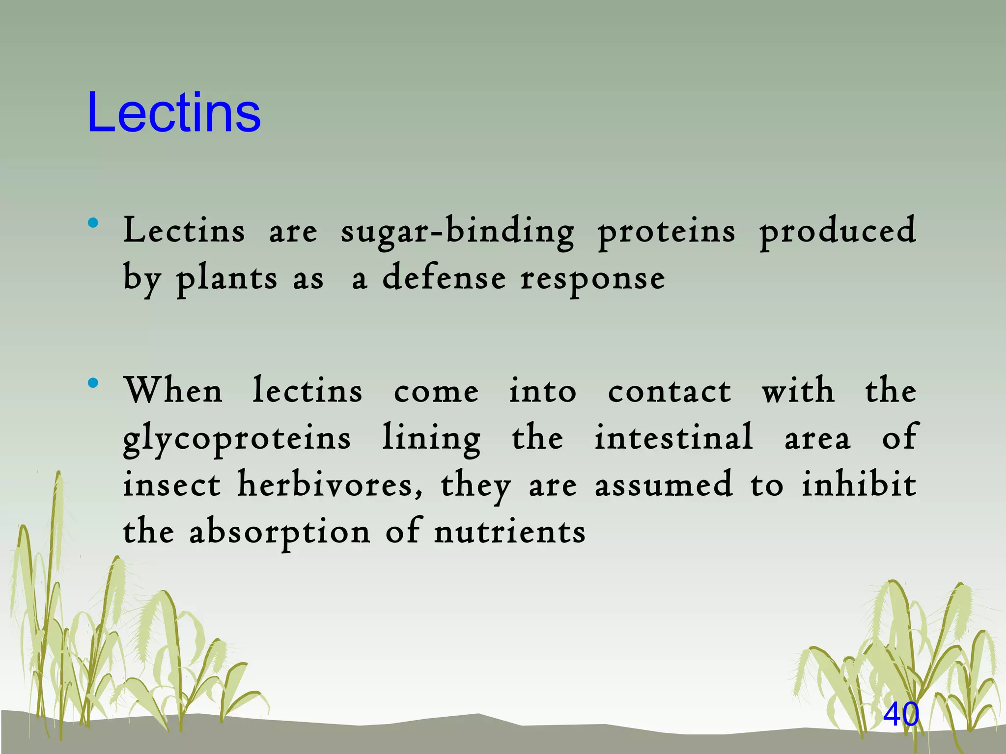 Plant defense responses to herbivore insect attack | PPT