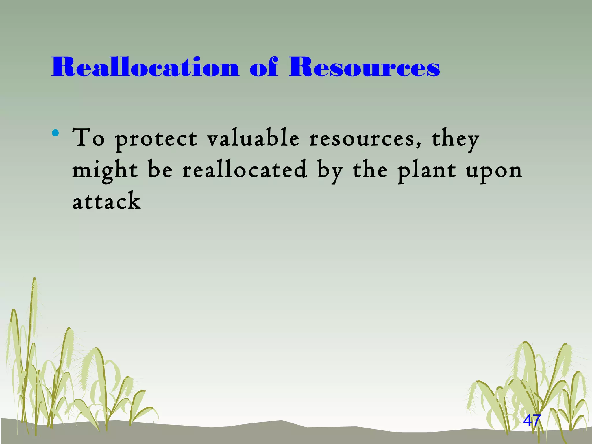 Plant defense responses to herbivore insect attack | PPT