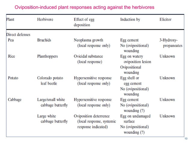 Plant defense responses to herbivore insect attack | PPT | Gardening ...