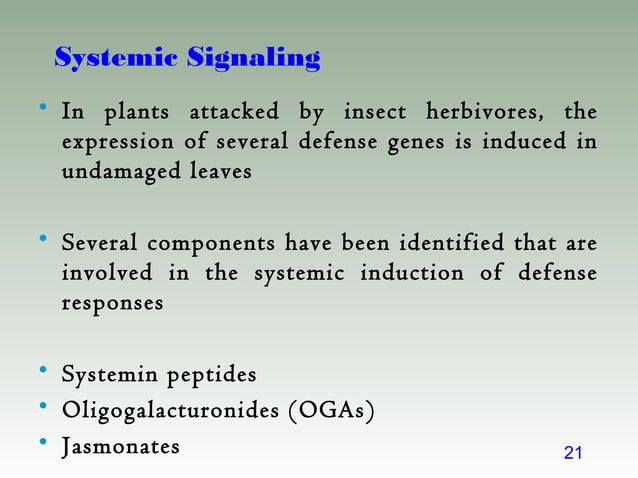 Plant defense responses to herbivore insect attack | PPT | Gardening ...