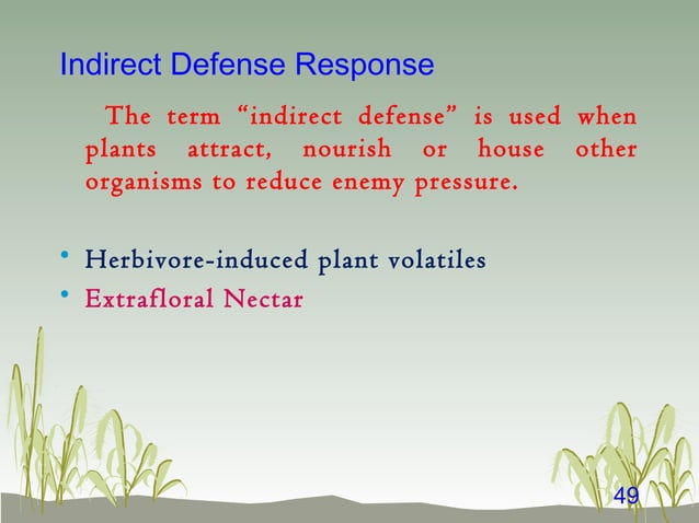 Plant defense responses to herbivore insect attack | PPT | Gardening ...