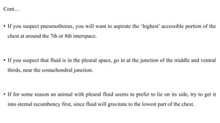 THORACENTESIS; SITE AND MATERIALS | PPTX