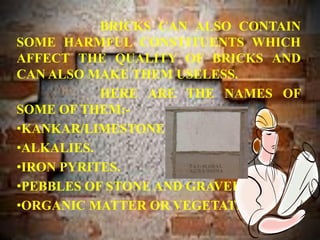 Comparison of Bricks | PDF