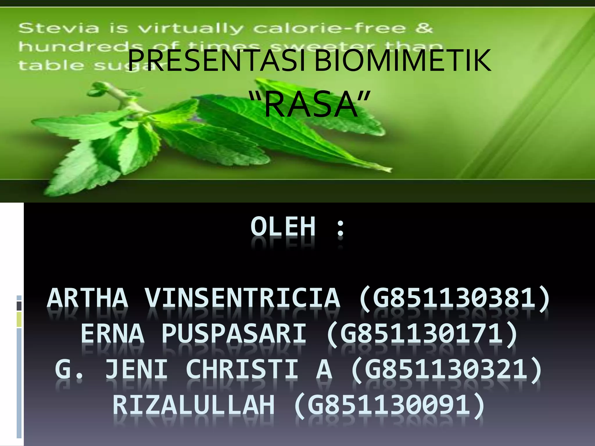 rasa | PPT