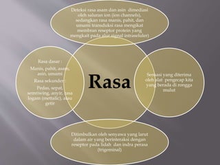 rasa | PPT