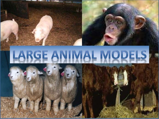 Animal Research Models:Potential
