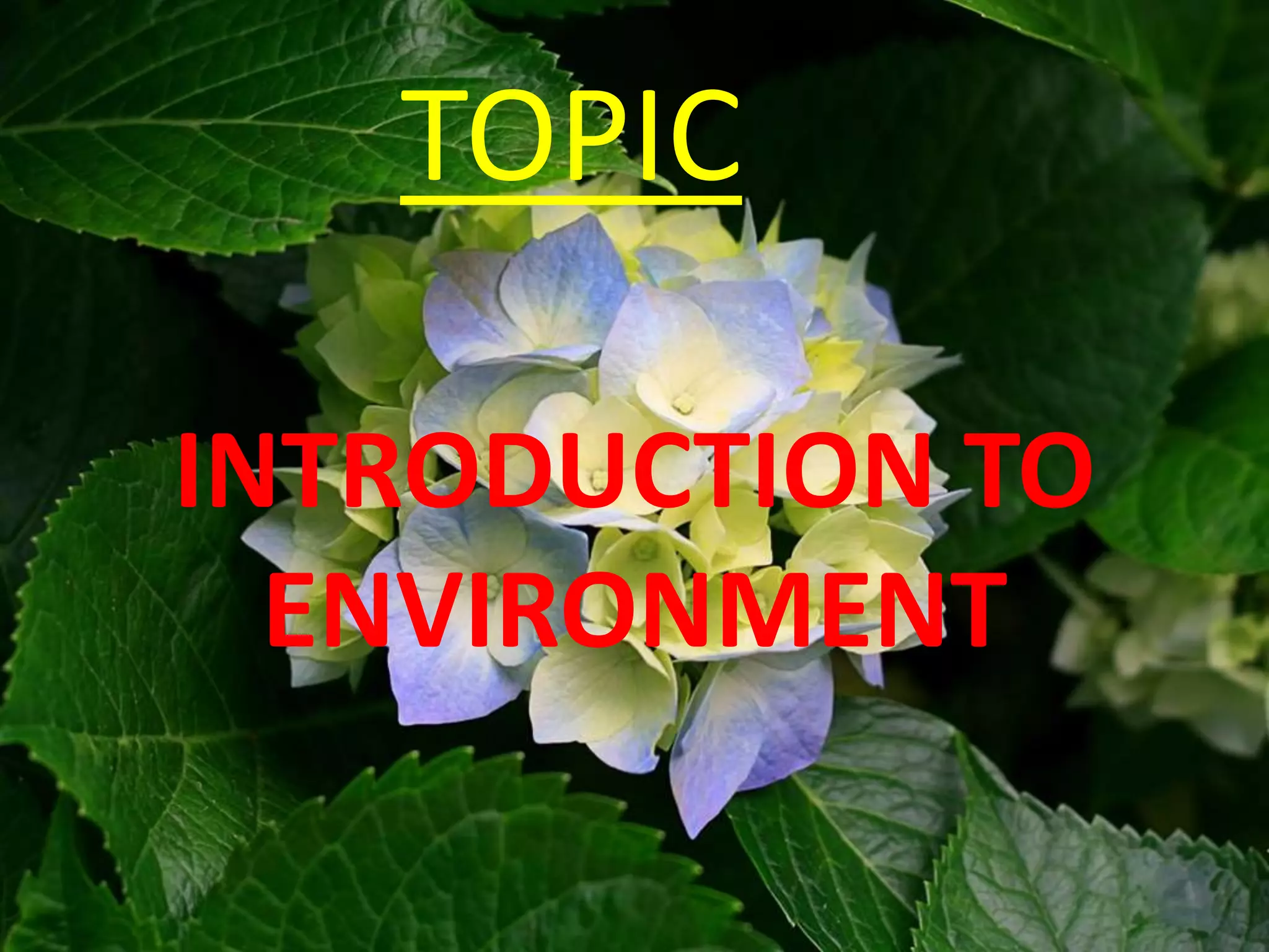 Introduction to Environment | PPT