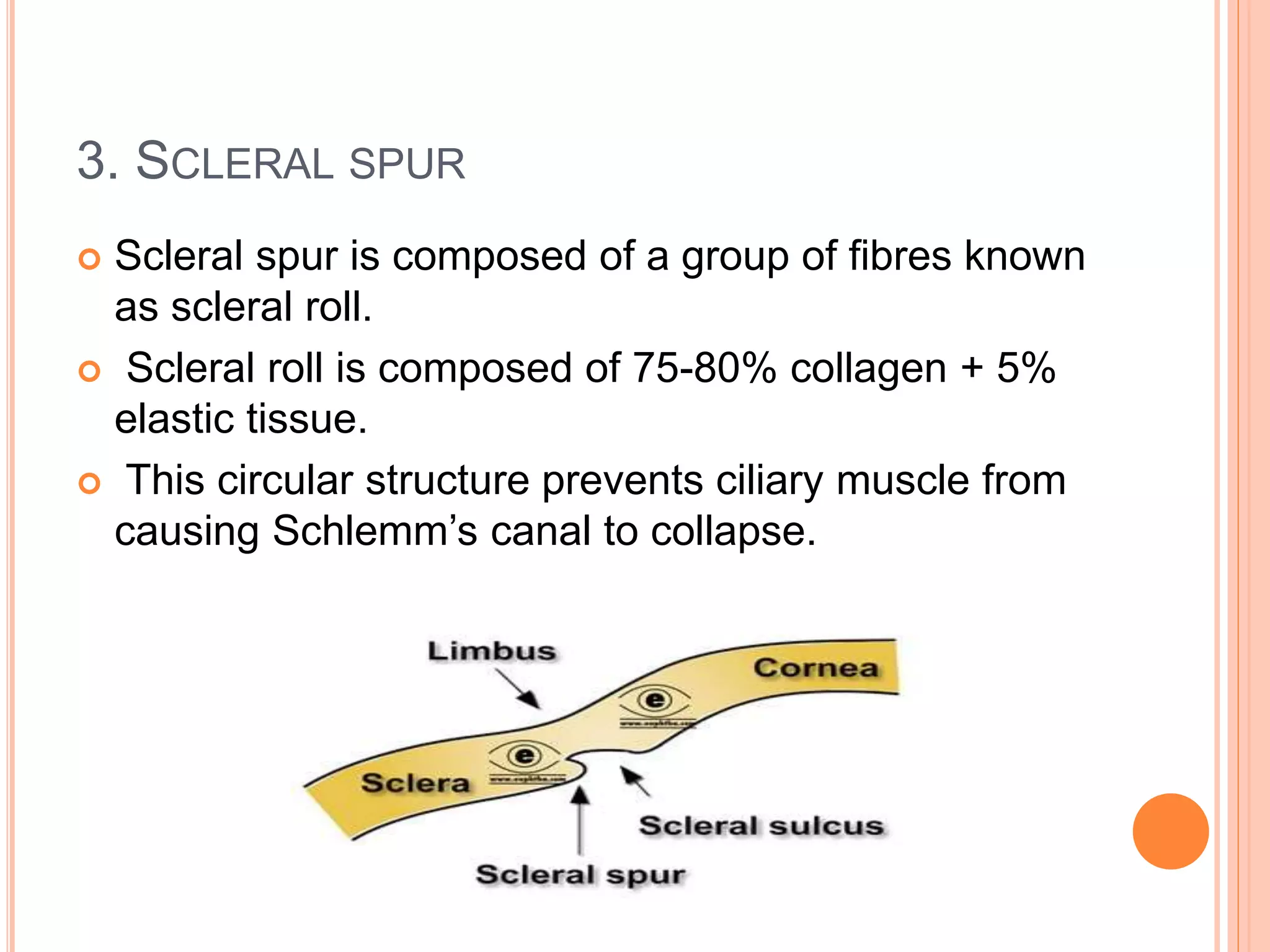 Anatomy of anterior chamber | PPTX