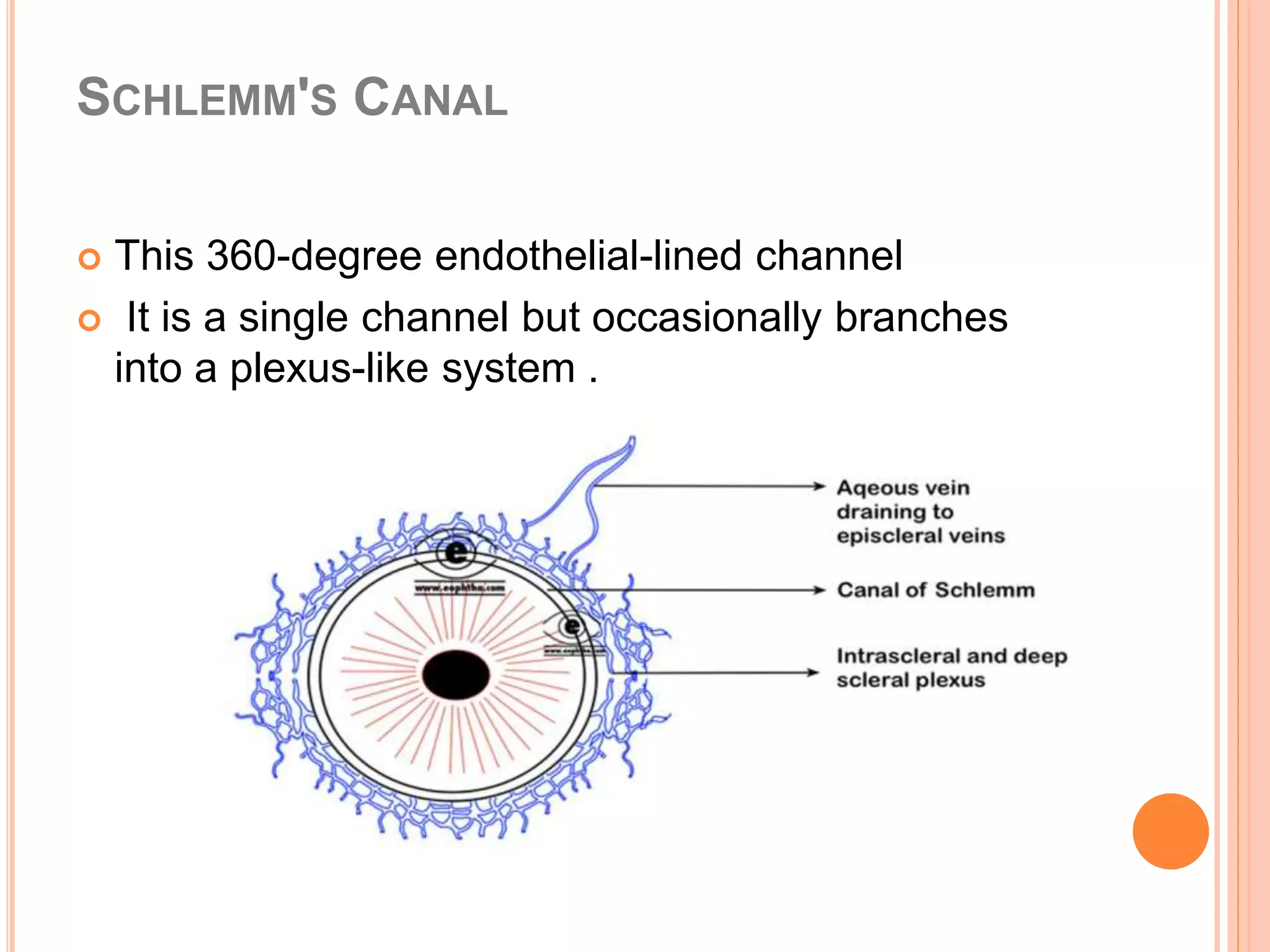 Anatomy of anterior chamber | PPTX