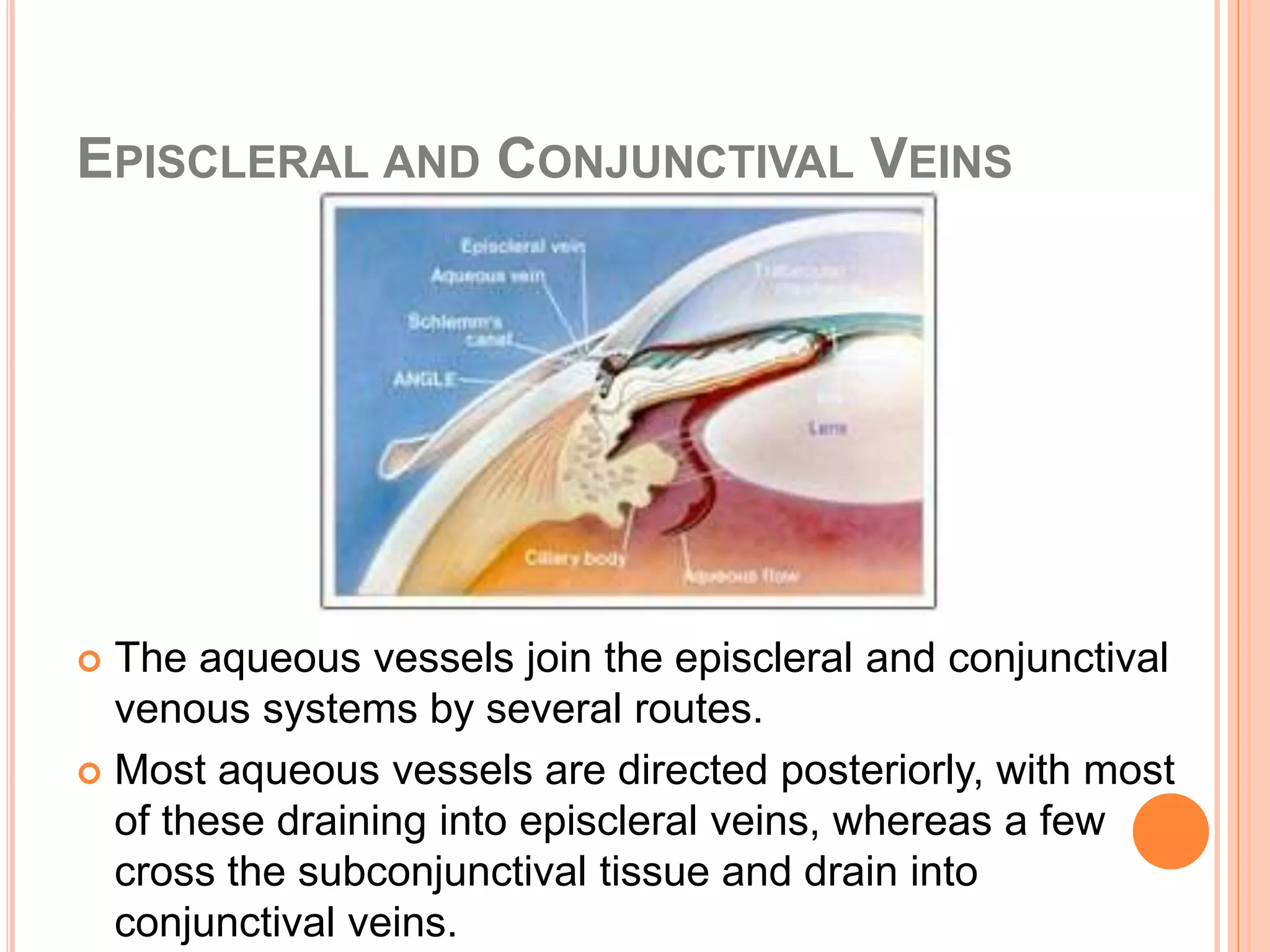 Anatomy of anterior chamber | PPTX