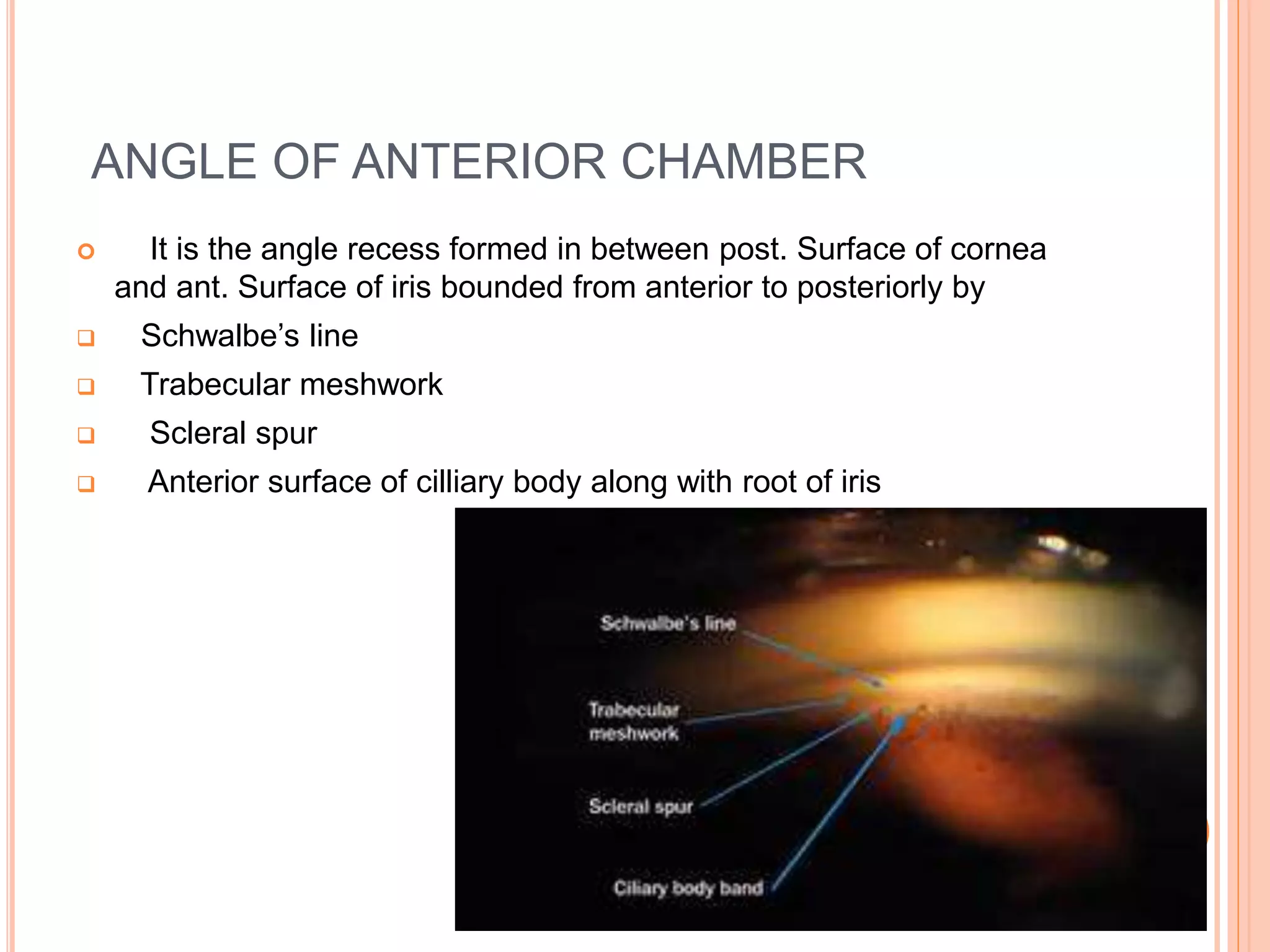 Anatomy of anterior chamber | PPTX