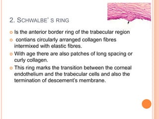 Anatomy of anterior chamber | PPTX