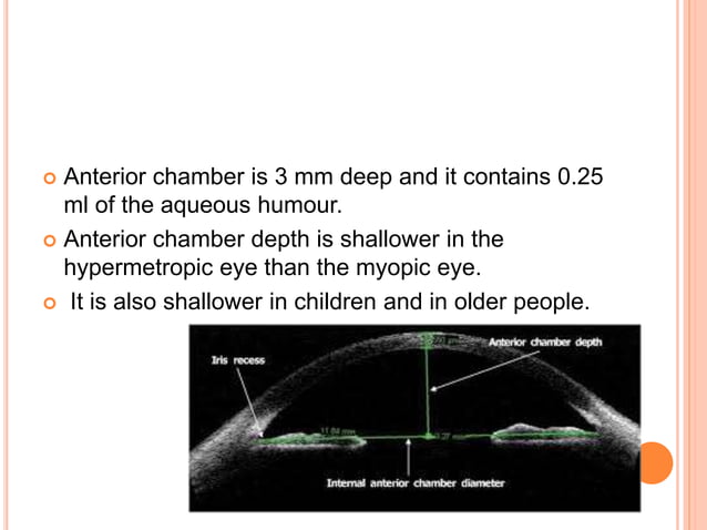 Anatomy of anterior chamber | PPTX