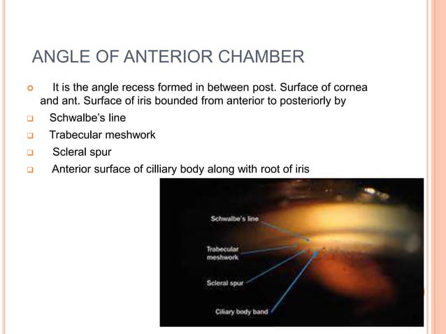 Anatomy of anterior chamber | PPTX