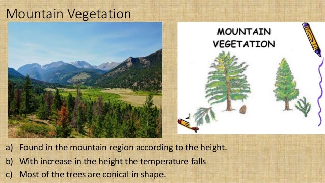 CLIMATE, VEGETATION AND WILD LIFE