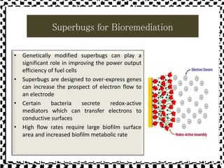 Superbugs-Mechanisms, Control & Utilization | PPTX