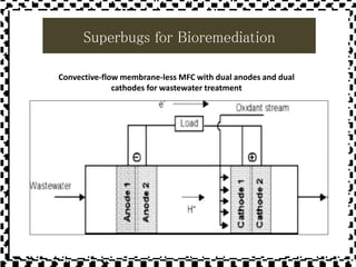 Superbugs-Mechanisms, Control & Utilization | PPTX