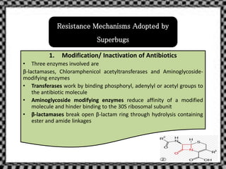 Superbugs-Mechanisms, Control & Utilization | PPTX
