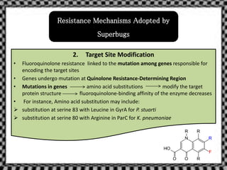 Superbugs-Mechanisms, Control & Utilization | PPTX