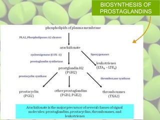 PROSTAGLANDINS | PPTX