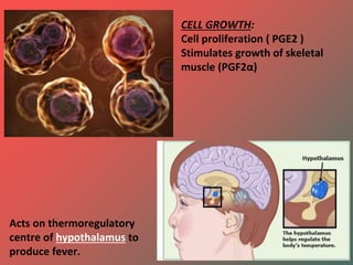 PROSTAGLANDINS | PPTX