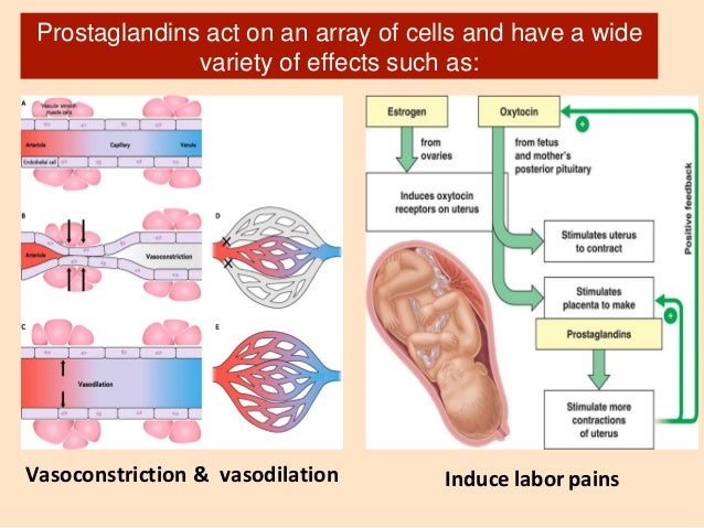 PROSTAGLANDINS