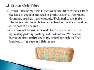 Coir Products and uses | PPTX